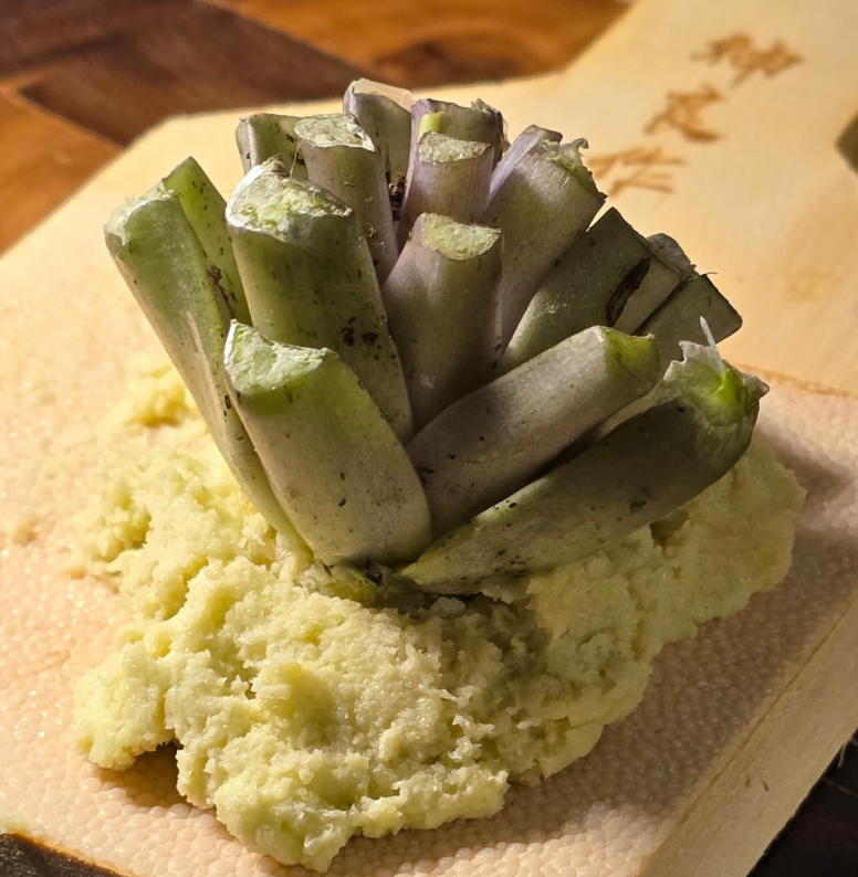 The Wasabi Deception—And How Israel Plans to Fix It - JNF.org